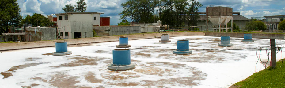 Della Torre - Meio Ambiente